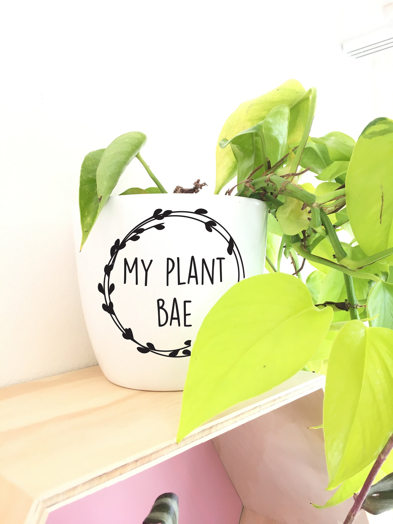 DIY Decal for Pot Planter Plant BAE Planter Pot Decal - Etsy