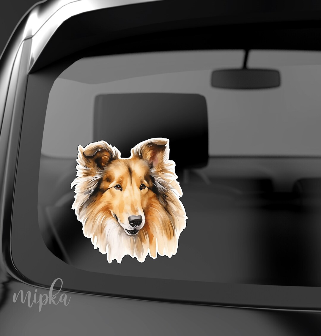 Rough Collie Bumper Sticker, Dog on Board, Watercolor Rough Collie Head ...