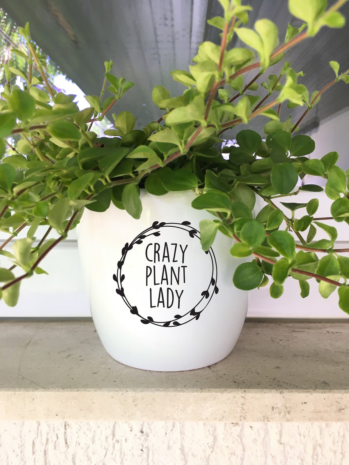 DIY Decal for Pot Planter Crazy Plant Lady Planter Pot Decal | Etsy