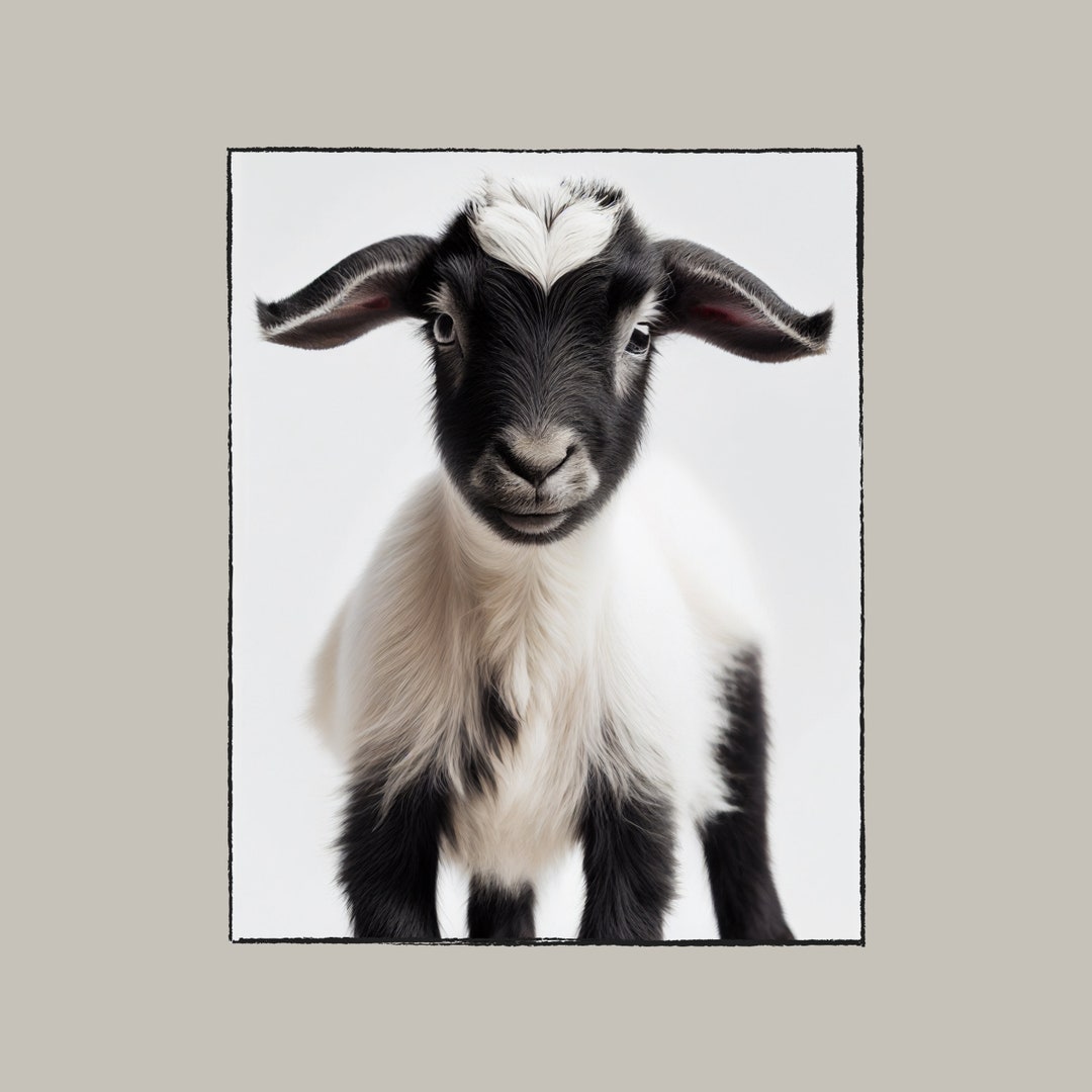 Baby Goat Wall Art for Baby Shower Gift or Goat Lovers Wall Decor Goat ...