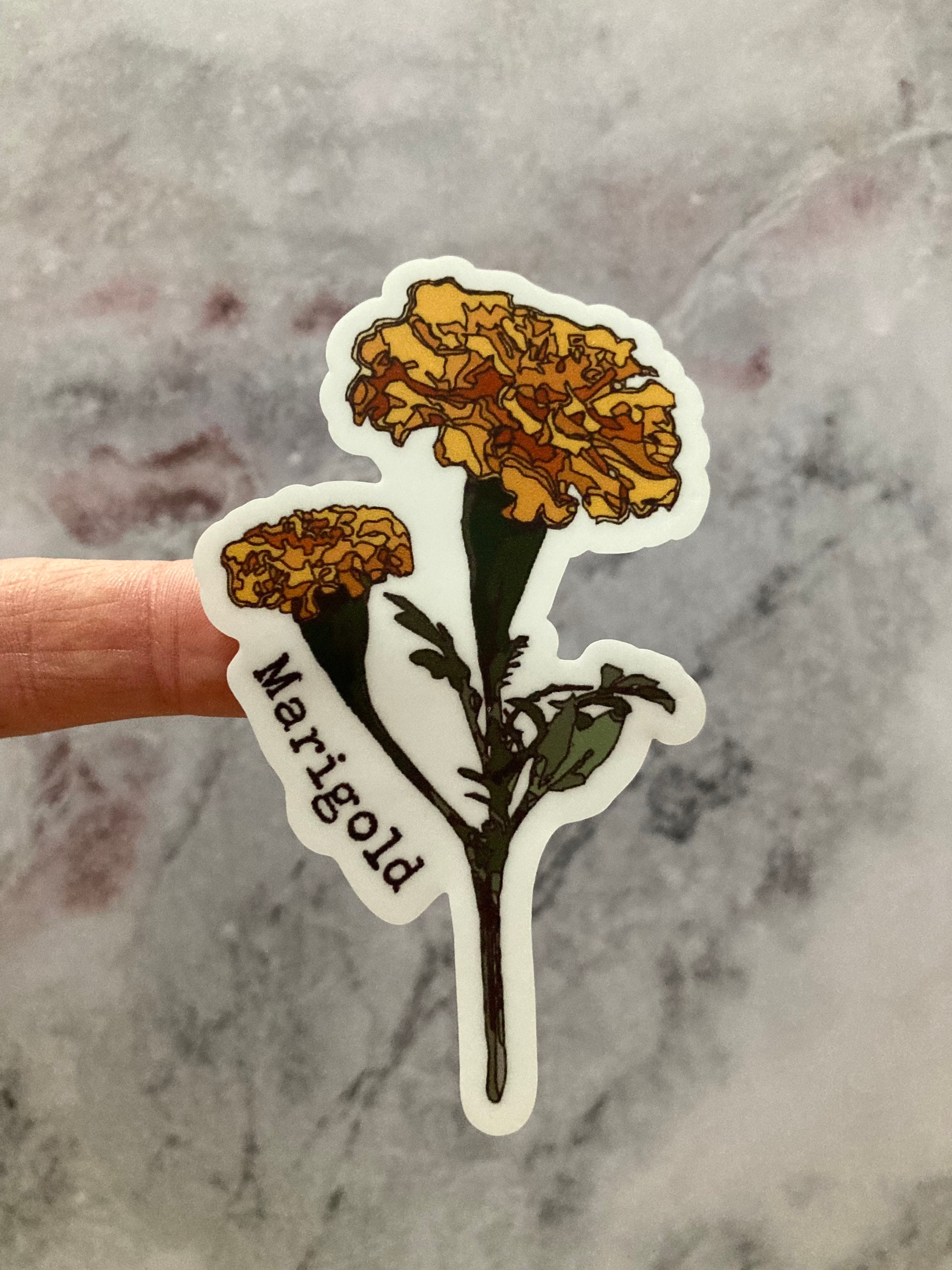 Natural Dye Garden Sticker Bundle Pack - Etsy