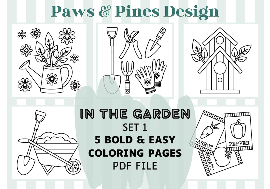 In the Garden - Set 1 - Bold & Easy Coloring Pages - PDF File - Etsy