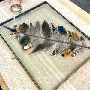 Framed Feathers in an 8"x10" Zinc or Brass Floating Frame, Feathers in ...