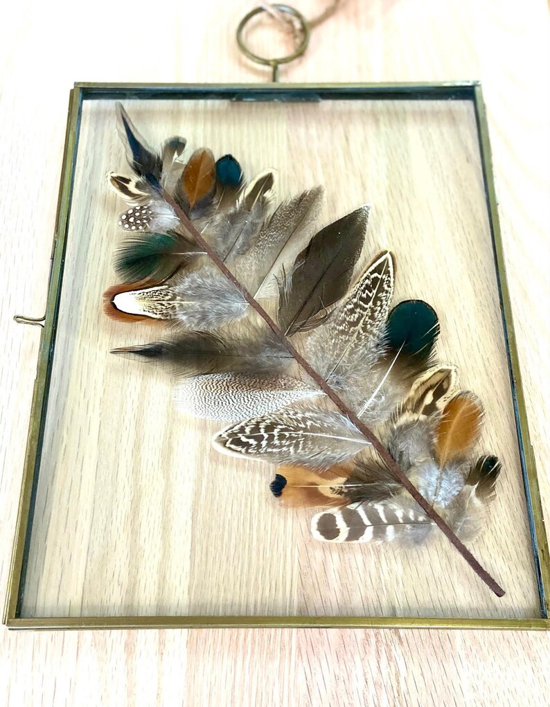 Framed Feathers in an 8"x10" Zinc or Brass Floating Frame, Feathers in ...