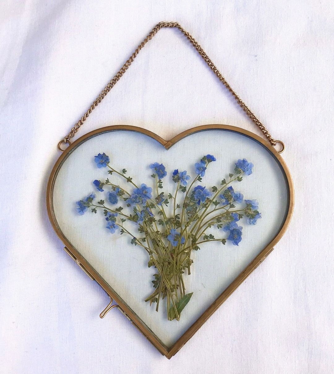 Framed Forget Me Nots Pressed Forget Me Nots in a Heart Frame Forget Me ...