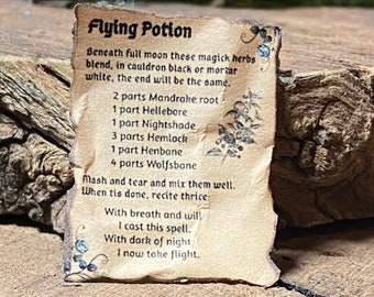 Miniature Potion Book - Etsy
