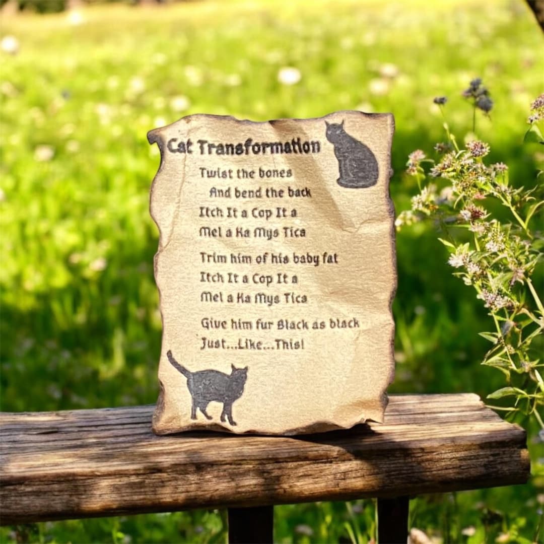 CAT TRANSFORMATION Spell Sheet, Dollhouse Miniature, Halloween, Fairy ...
