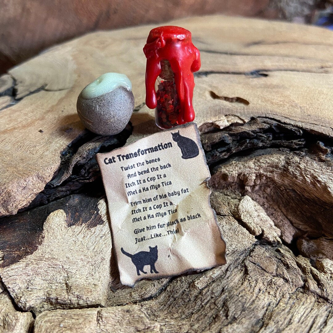 CAT TRANSFORMATION Spell Sheet Dollhouse Miniature - Etsy