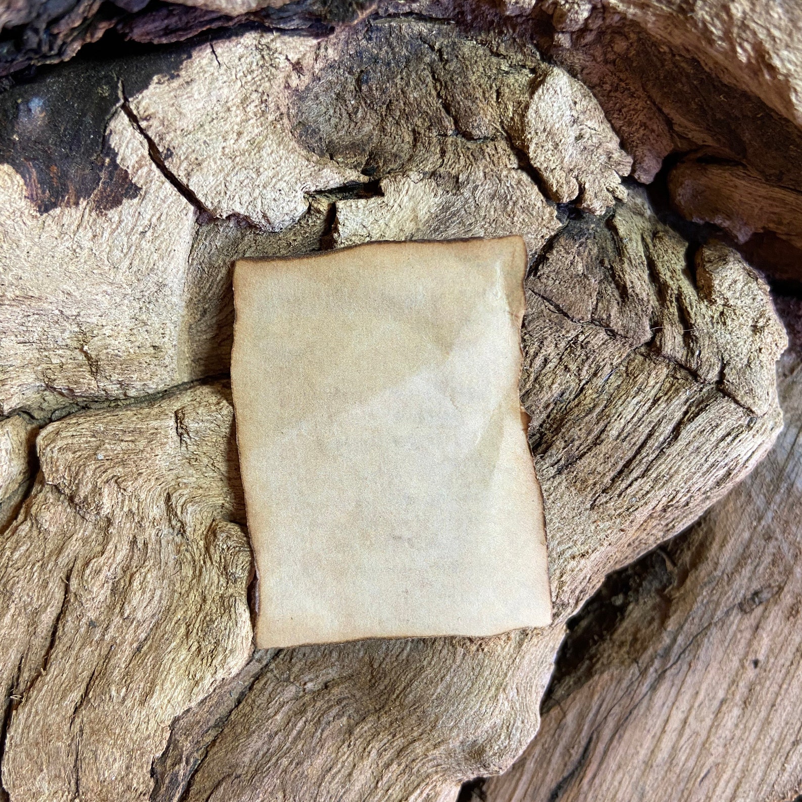 MOON DUST Spell Sheet Dollhouse Miniature Halloween Fairy - Etsy