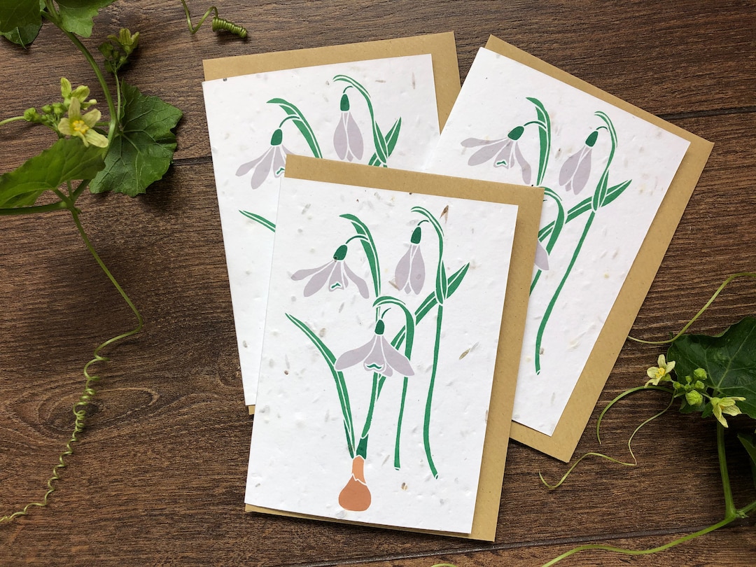 Snowdrop Design Plantable Wildflower Seed Greeting Cards - Pack of 3 - Etsy