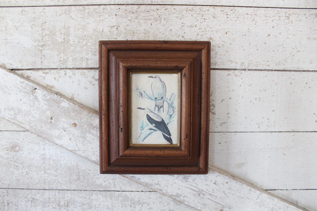 1960s Italian Florentine Framed Replica Antique Bird Art Print ...