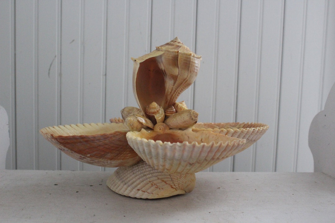 Vintage Seashell Hand Crafted Dresser Top Dish - Boho Multi-compartment ...
