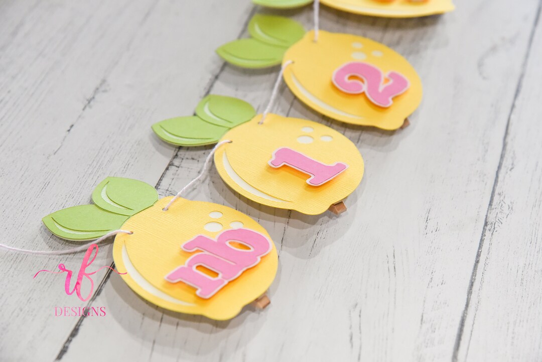 Lemon Milestone Photo Banner Lemon Theme First Birthday Photo Display ...