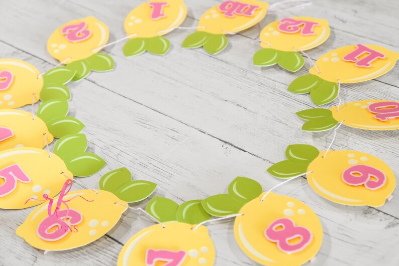 Lemon Milestone Photo Banner Lemon Theme First Birthday - Etsy