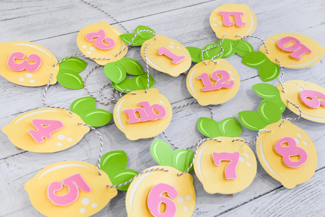 Lemon Milestone Photo Banner | Lemon Theme First Birthday Photo Display ...