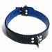 Leather Lined Collar Locking Buckle Black With Blue Lining - Etsy