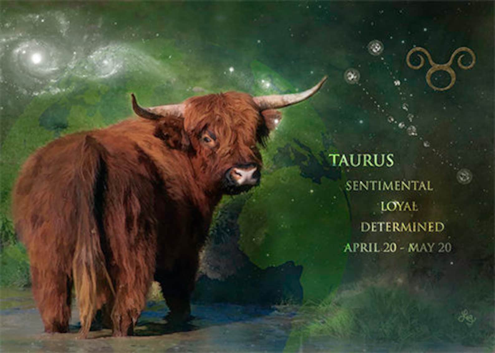Taurus + Astrology + Zodiac + Fine Art + Metal Print + Photography ...