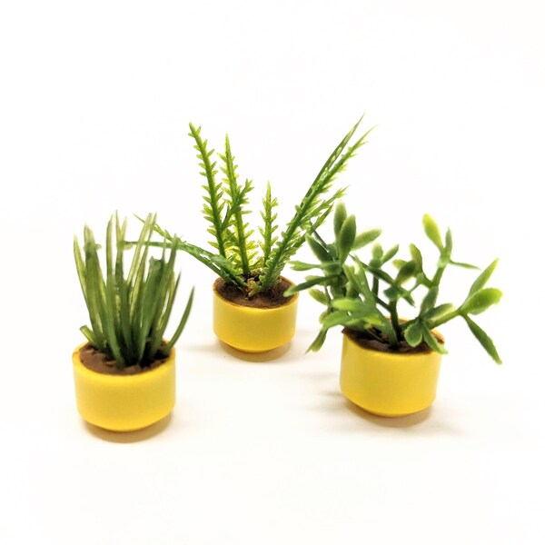 Miniature Plants - Etsy