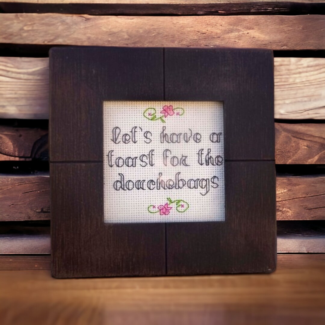 Cross Stitch Pattern "let's Have A Toast for the Douchebags" - Etsy