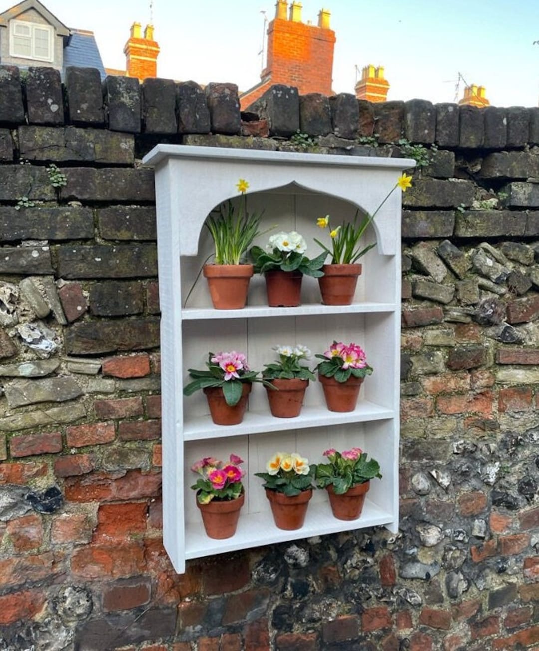 Auricula Theatre, Primrose, Primula, Flower Wall Shelf, Rustic Timber ...