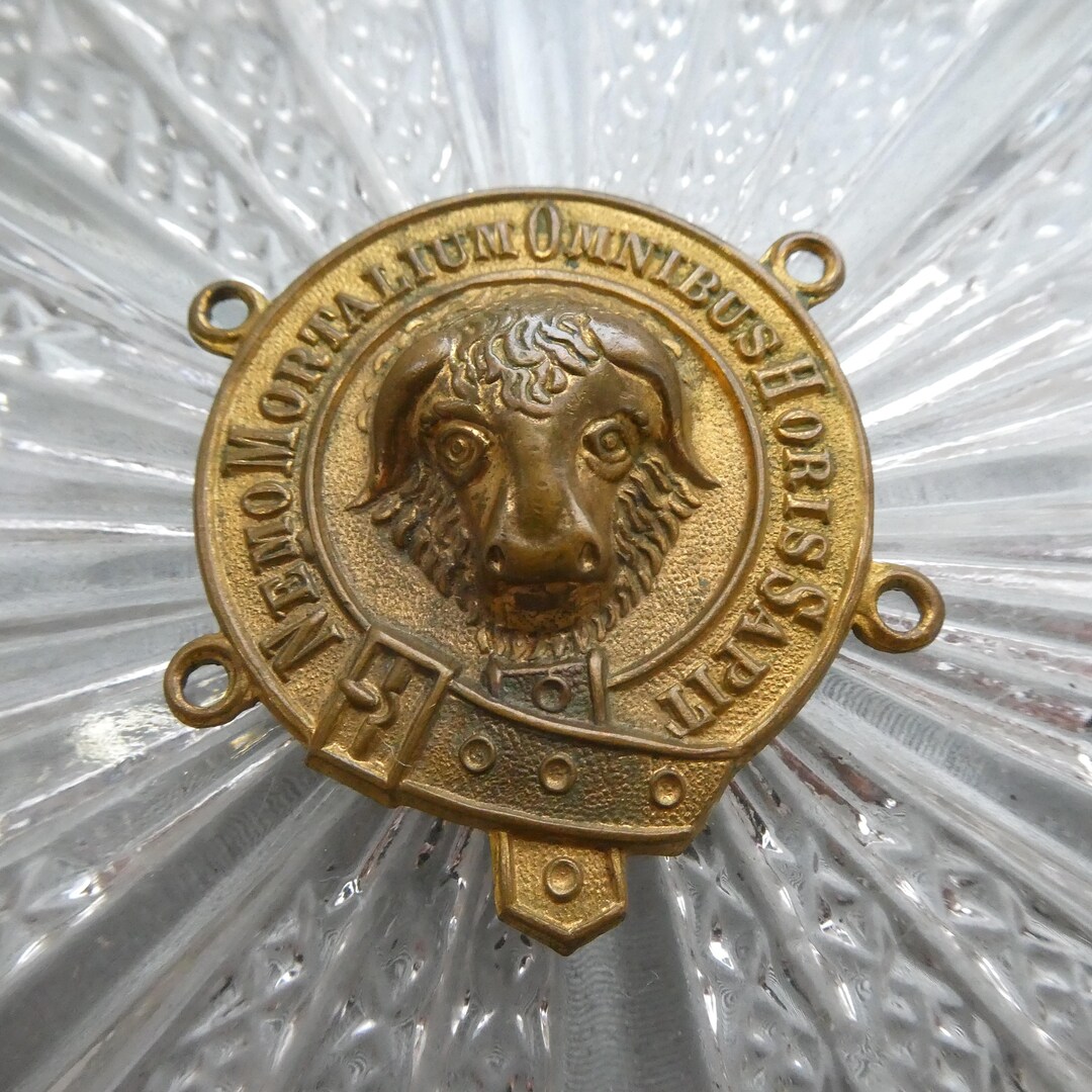Antique 1920s Badge RAOB Royal Antideluvian Order of the Buffalo Sew-on ...