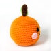 PATTERN: Orange Amigurumi Crochet Pattern - PDF Digital Download - Etsy