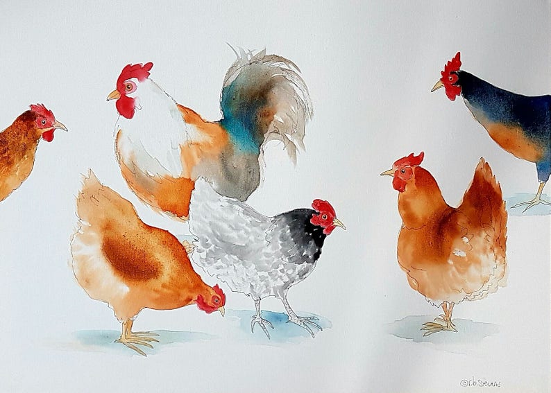 Colourful Chickens Art - Etsy