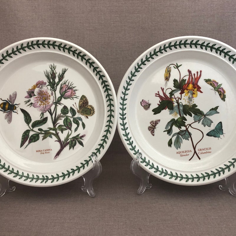 Botanical Plates - Etsy