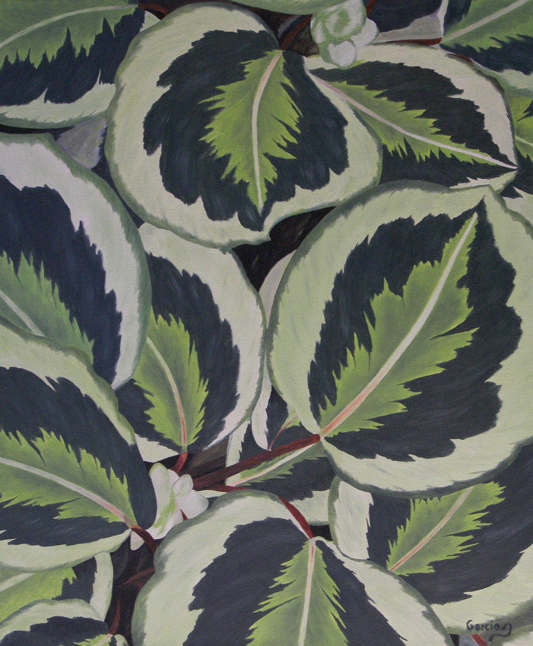 Hostas Plant Oil Painting, "rain Forest Hostas" (20" X 24") - Etsy