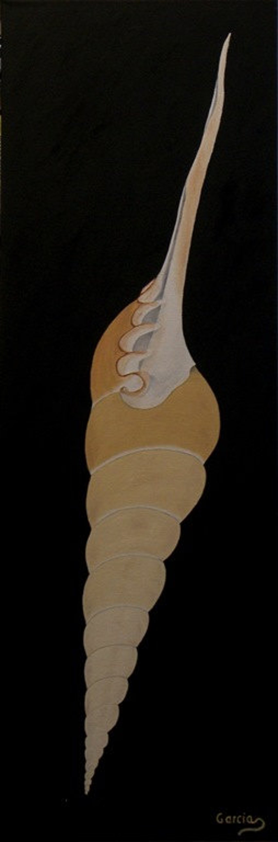 Tibia Fusus Sea Shell Oil Painting (12" X 36") - Etsy