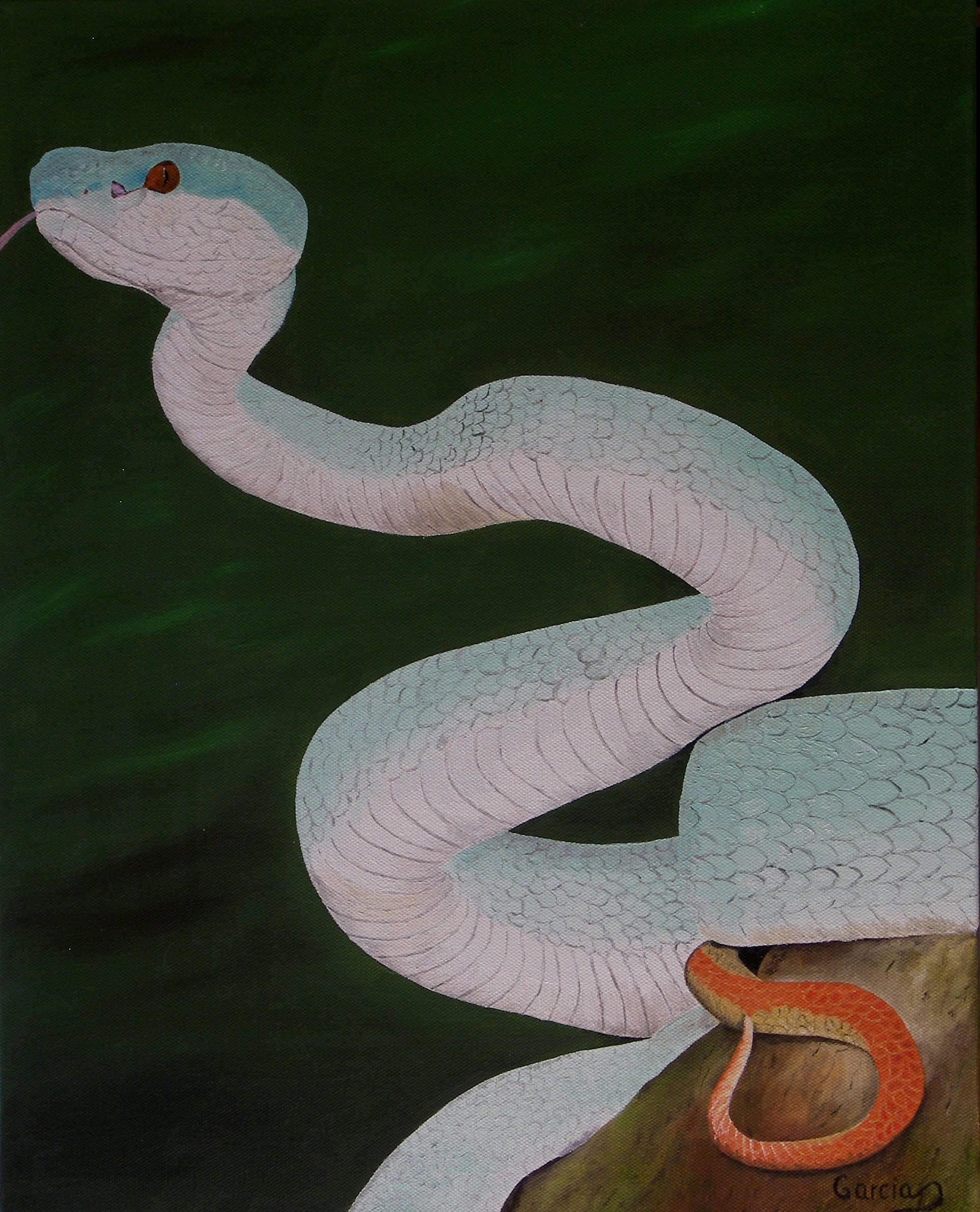 Pit Viper Snake Oil Painting (16" X 20") - Etsy