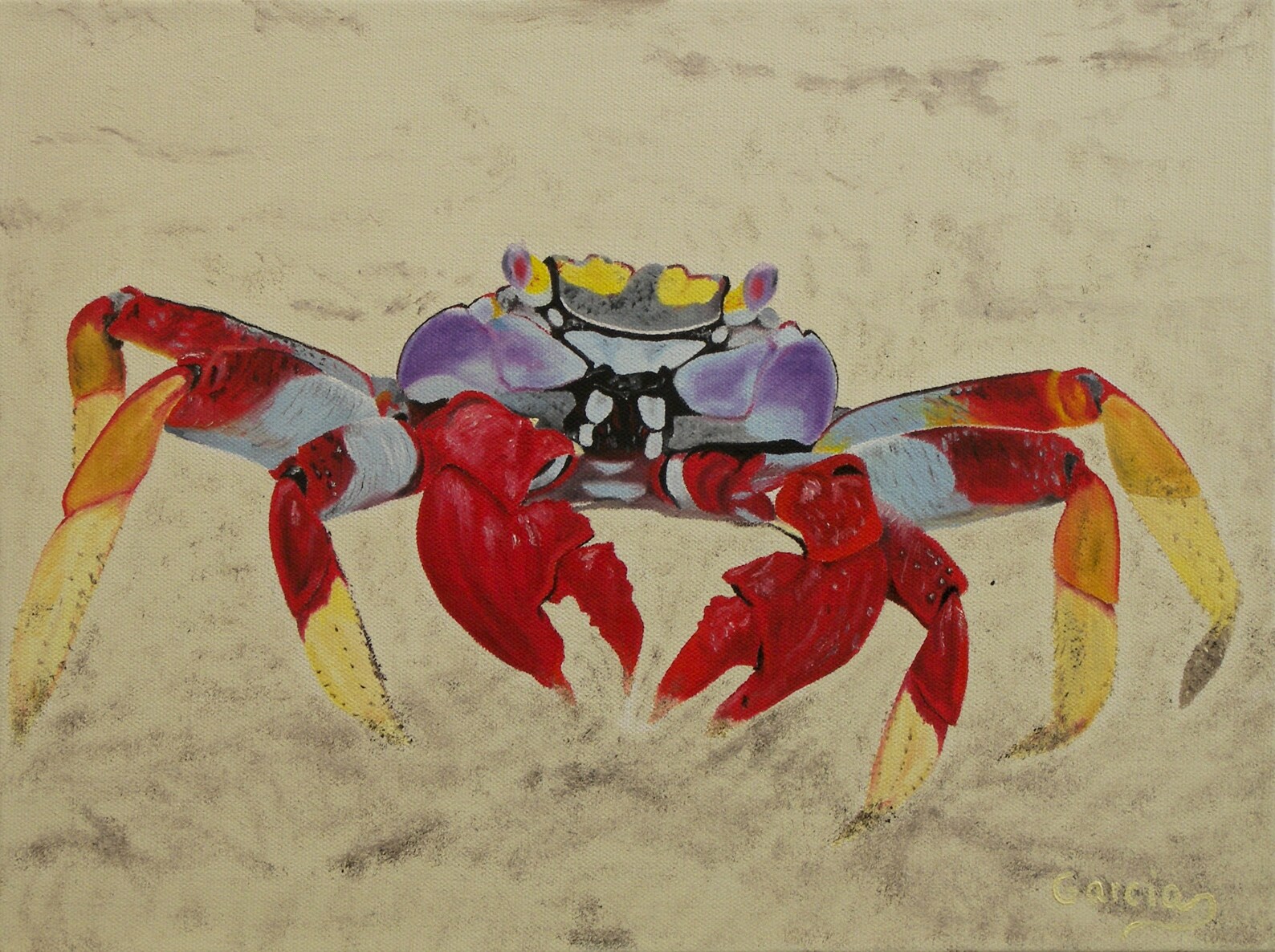 Crab Oil Painting, Original Oil Painting sally Light Foot Crab 12 X 16 ...