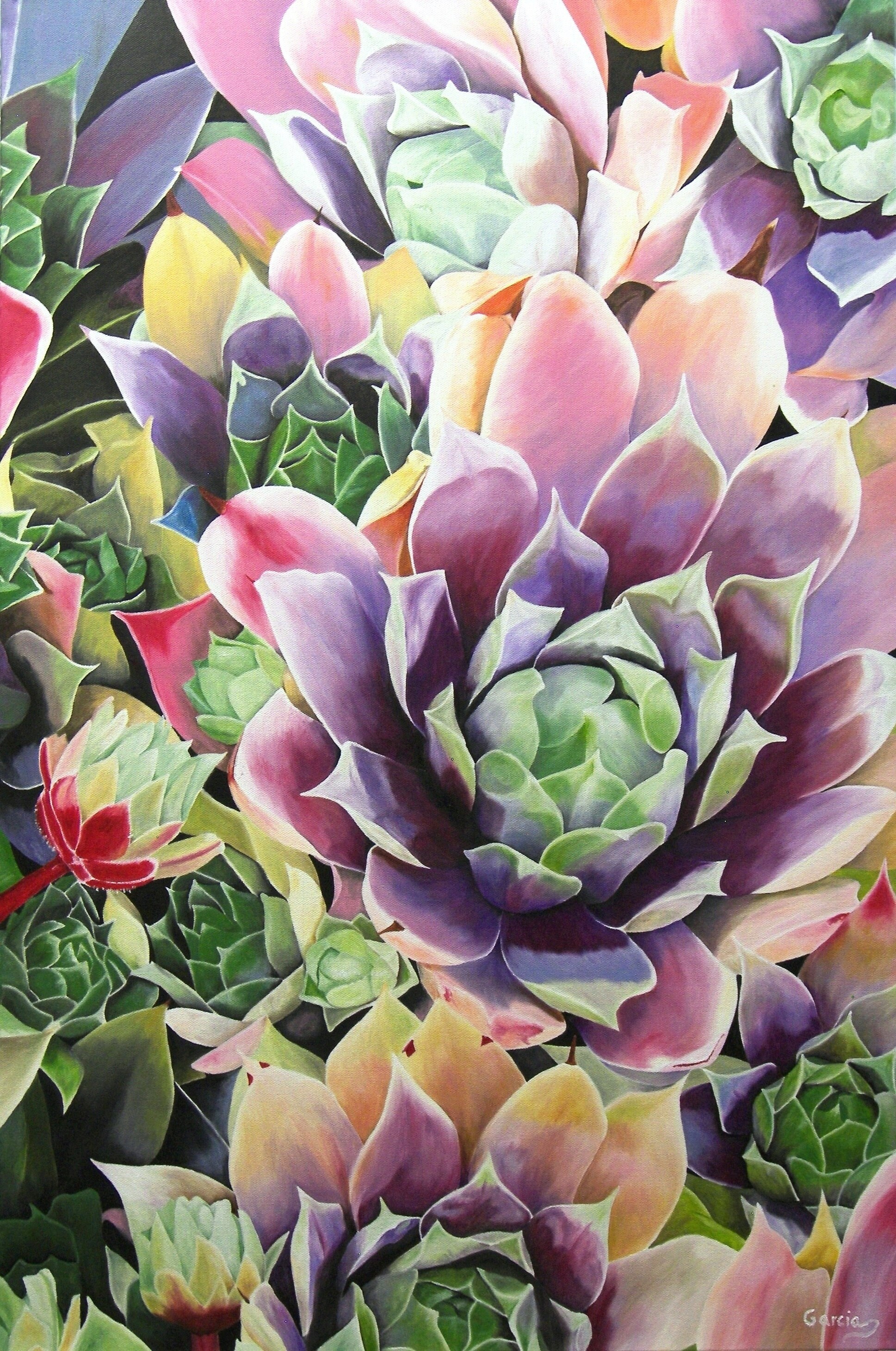 Succulent Oil Painting, Original Oil Painting succulent Fire 24 X 24 - Etsy