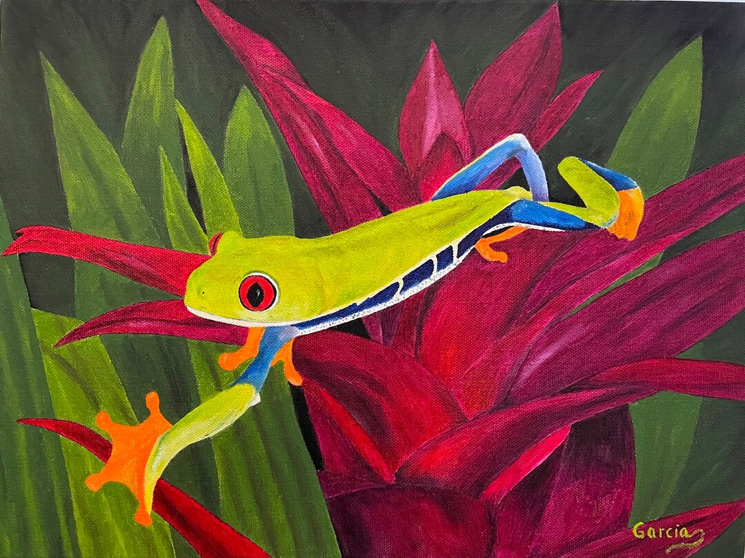 Frog Oil Painting Frogs Red Eyed Tree Frog Original Oil - Etsy UK