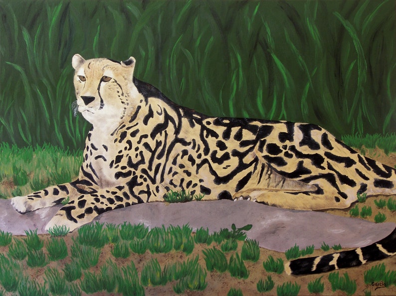 Cheetah Oil Painting, Original Oil Painting - "king Cheetah" (30" X 40 ...