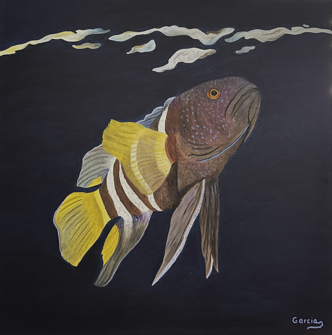 Eastern Devilfish Oil Painting Devilfish on Black Background - Etsy