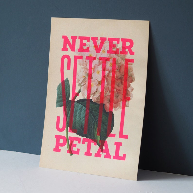 A4 Never Settle Petal Screen Print - Etsy