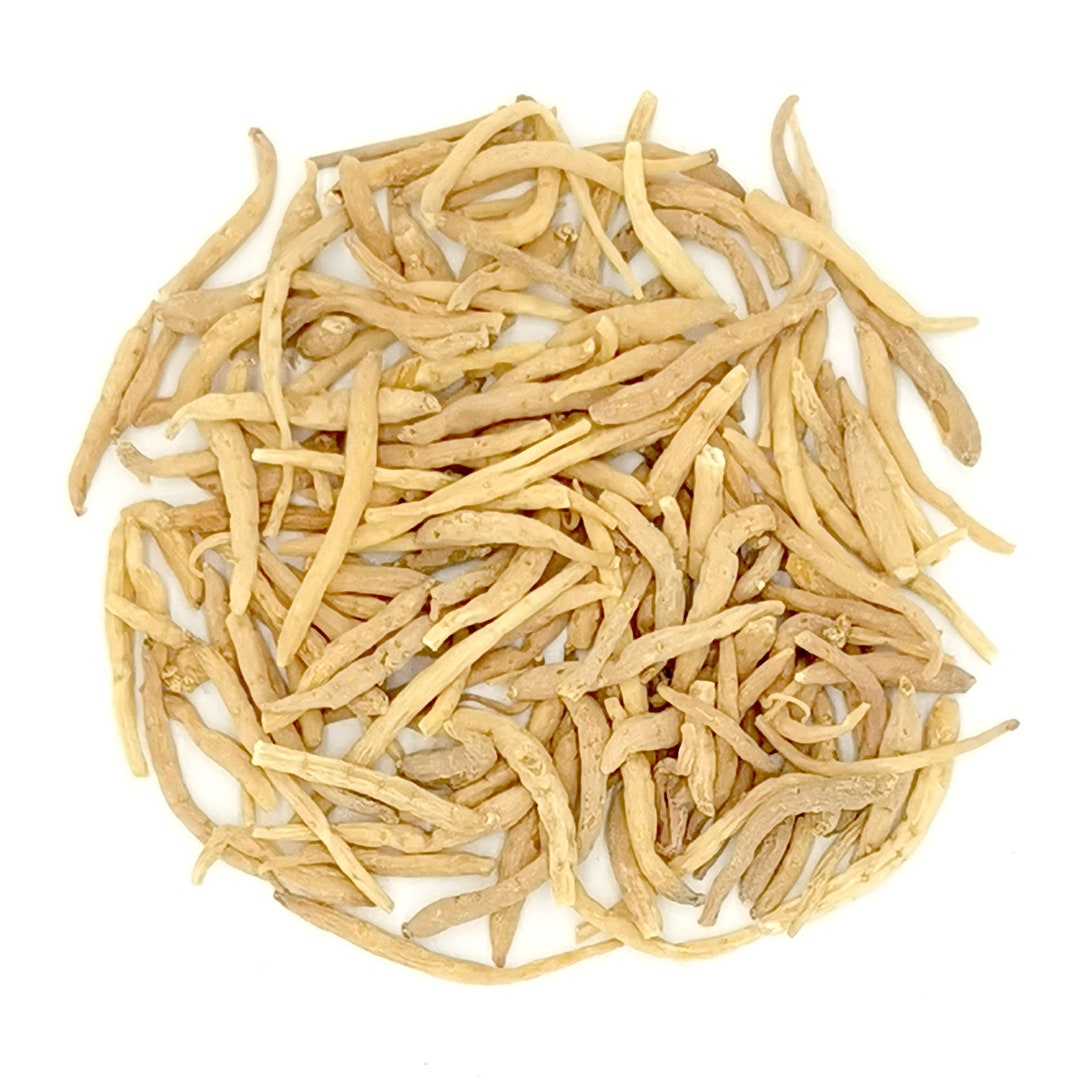 Tai Zi Shen Pseudostellaria Heterophylla Root - Etsy