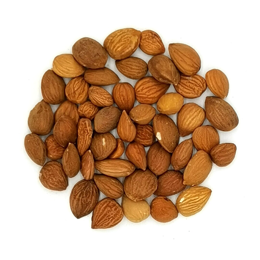 Peach Kernels - Etsy