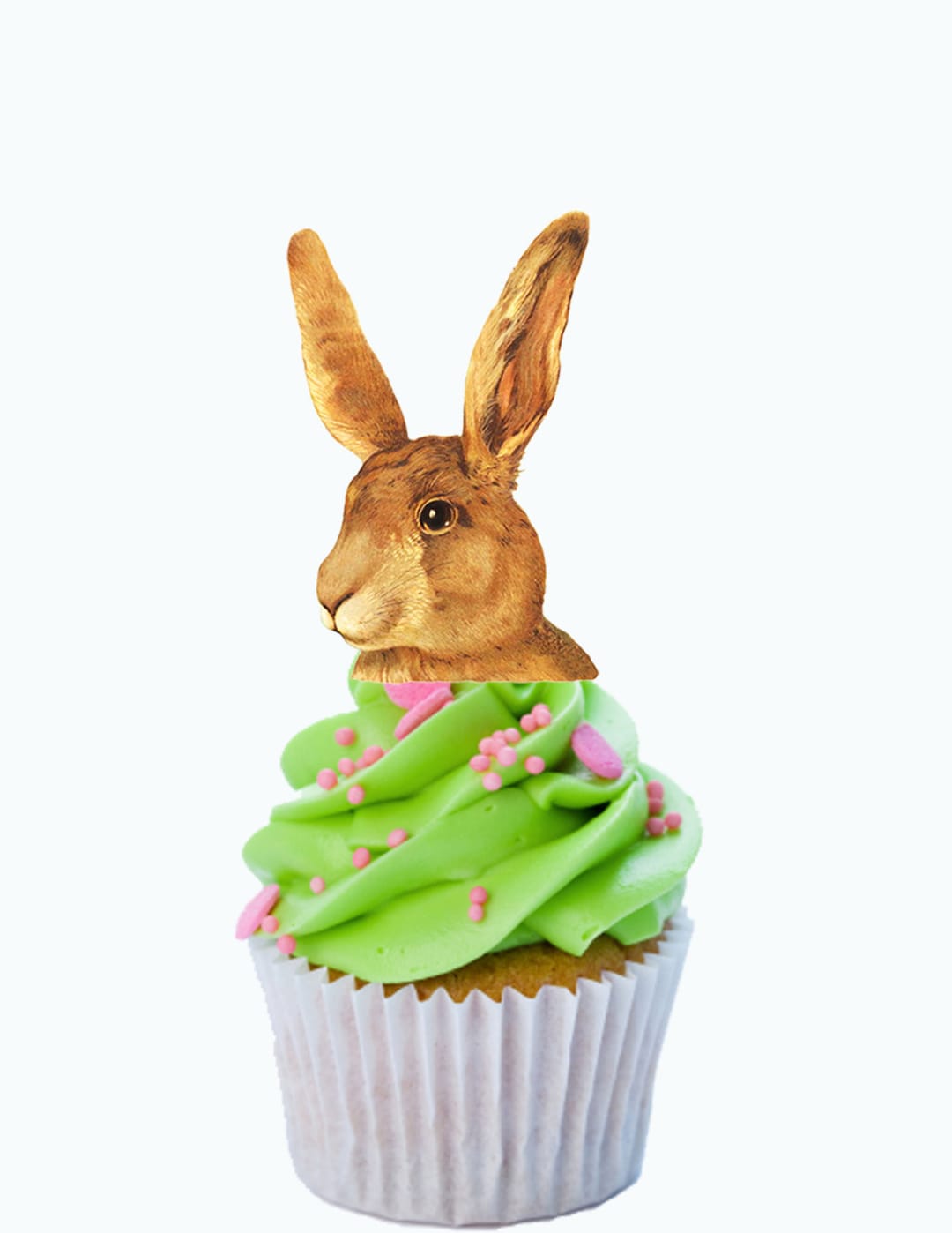 Vintage Easter Bunny Cupcake Toppers: Party Food Picks, 12 Picks - Etsy