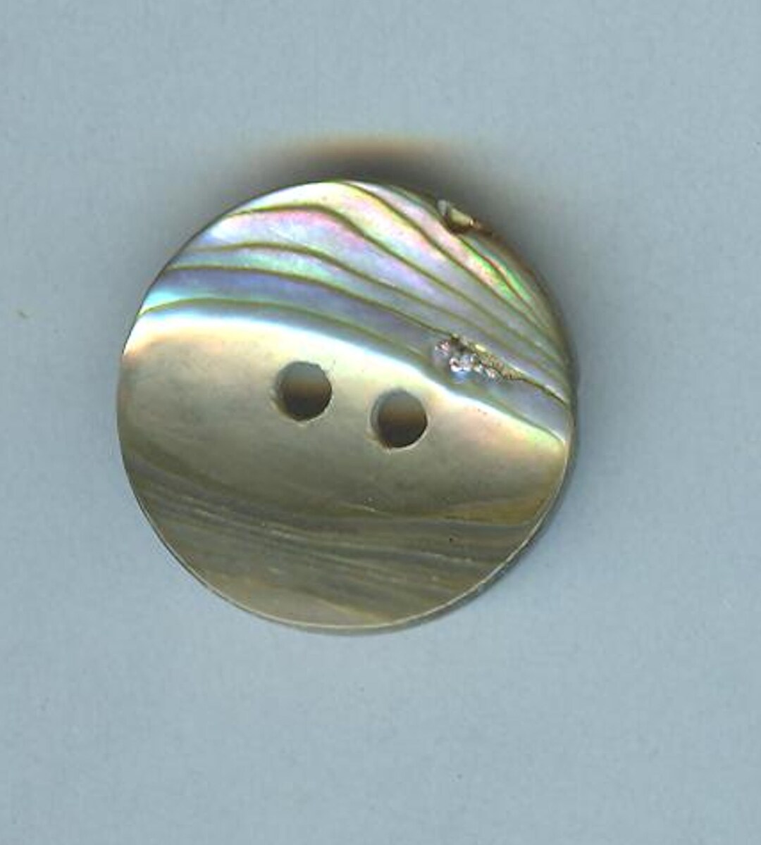 Opalescent Abalone Shell Antique Button 22L - 11/20" - 14mm (B65) - Etsy