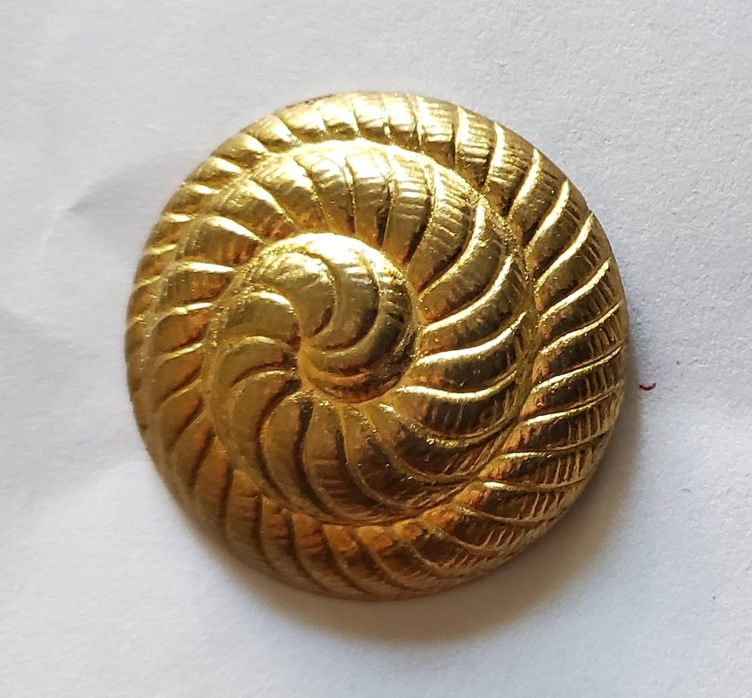 Vintage Gold Plastic Spiral Shell Shank Buttons 32L - 13/16" - 20mm ...
