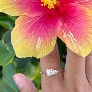 14k Gold Filled Hawaiian Shell Chain Ring, Choose Your Own Shell Ring ...
