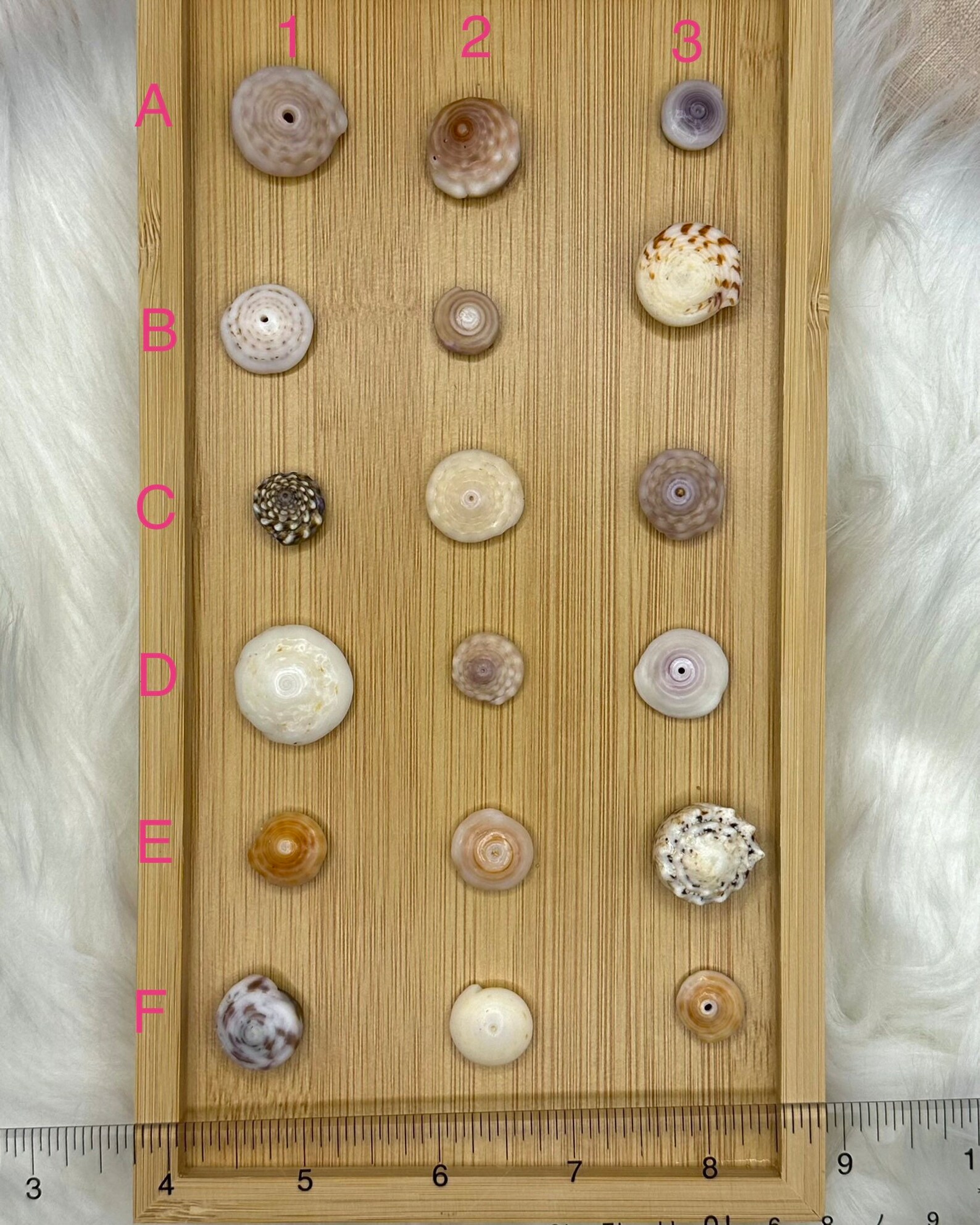 Hawaiian Puka Shell Necklace, Choose Your Own Puka Shell, Puka Shell ...