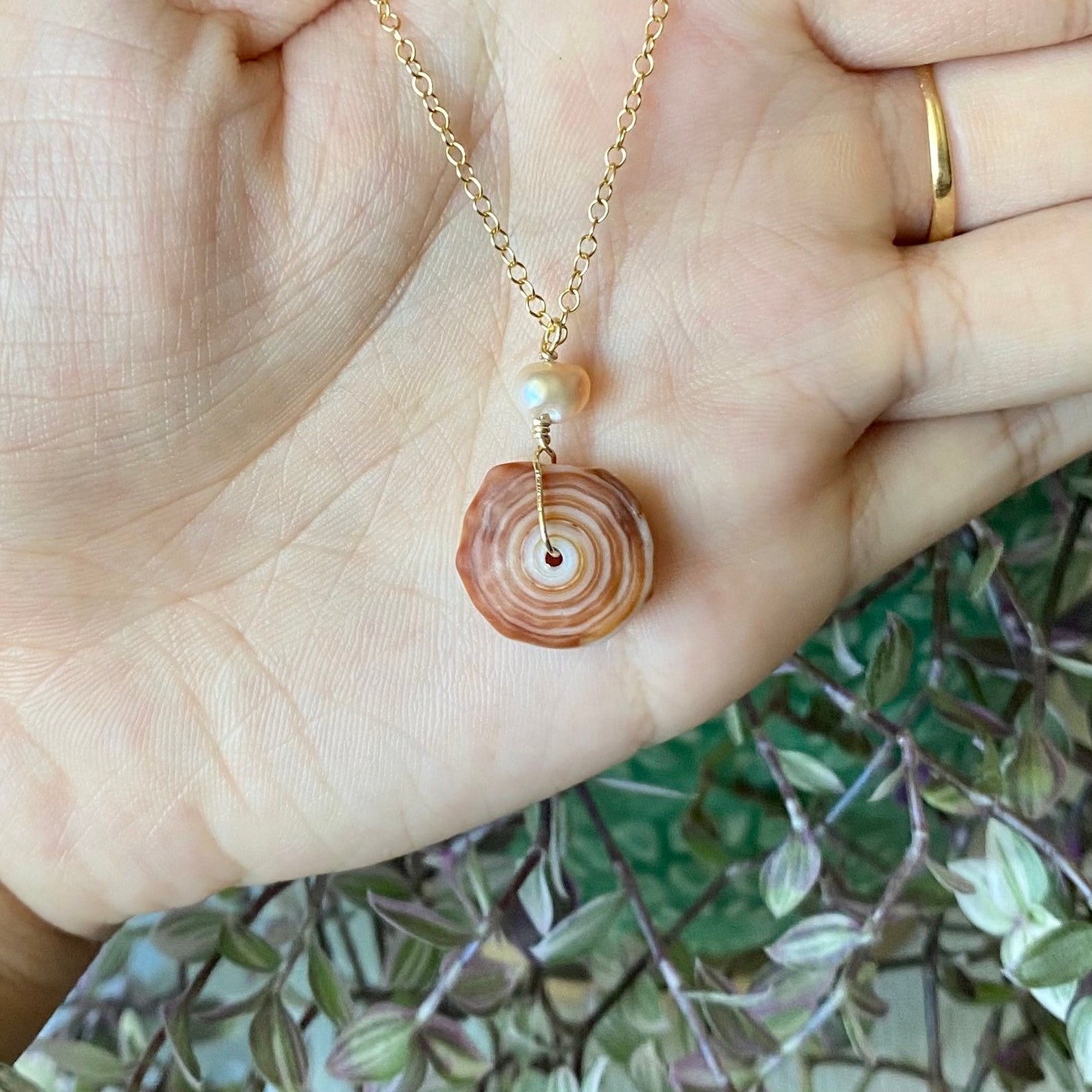 Hawaiian Puka Shell Necklace, Choose Your Own Puka Shell, Puka Shell ...