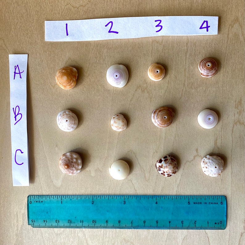 Hawaiian Puka Shell Necklace Choose Your Own Puka Shell Puka - Etsy