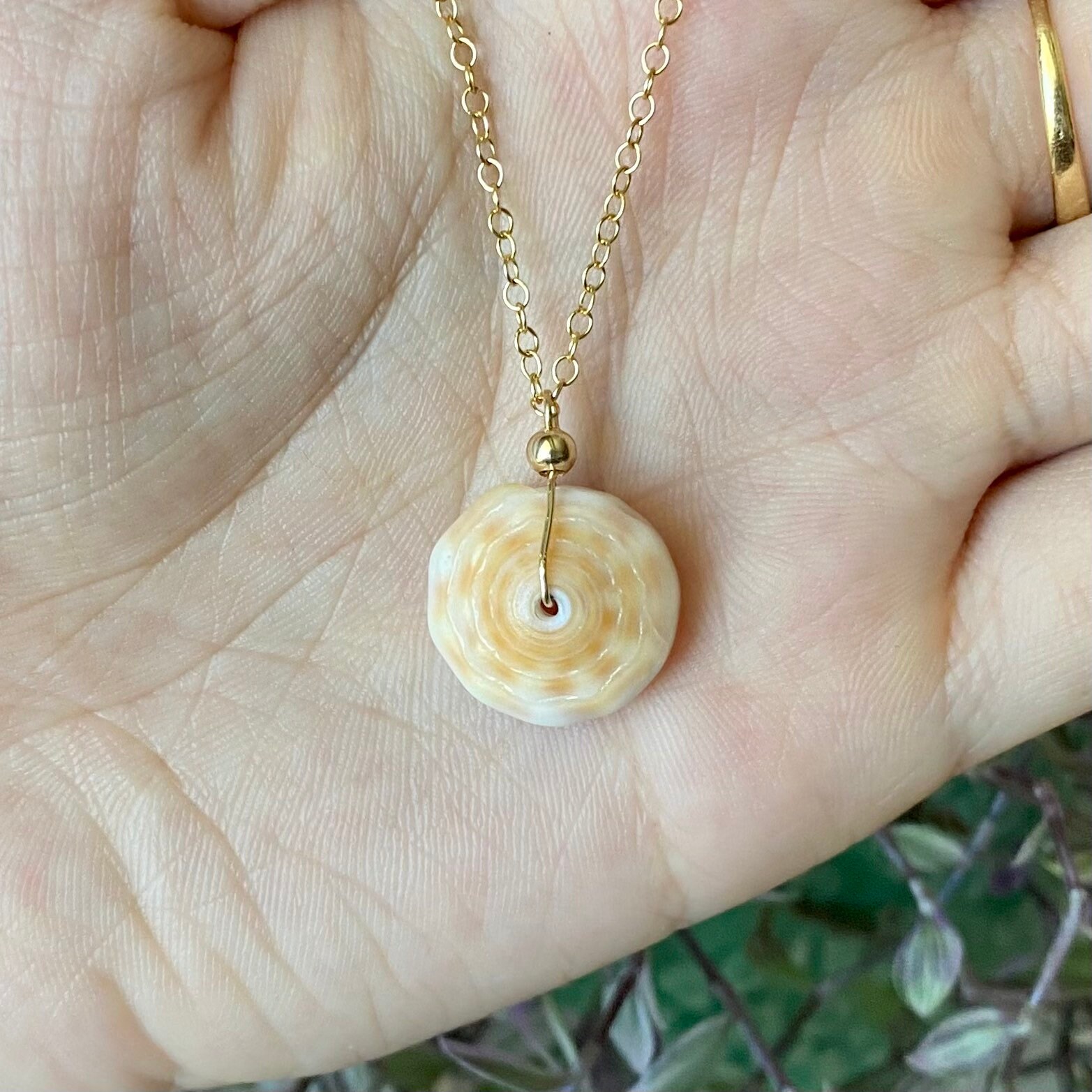 Hawaiian Puka Shell Necklace Choose Your Own Puka Shell Puka - Etsy