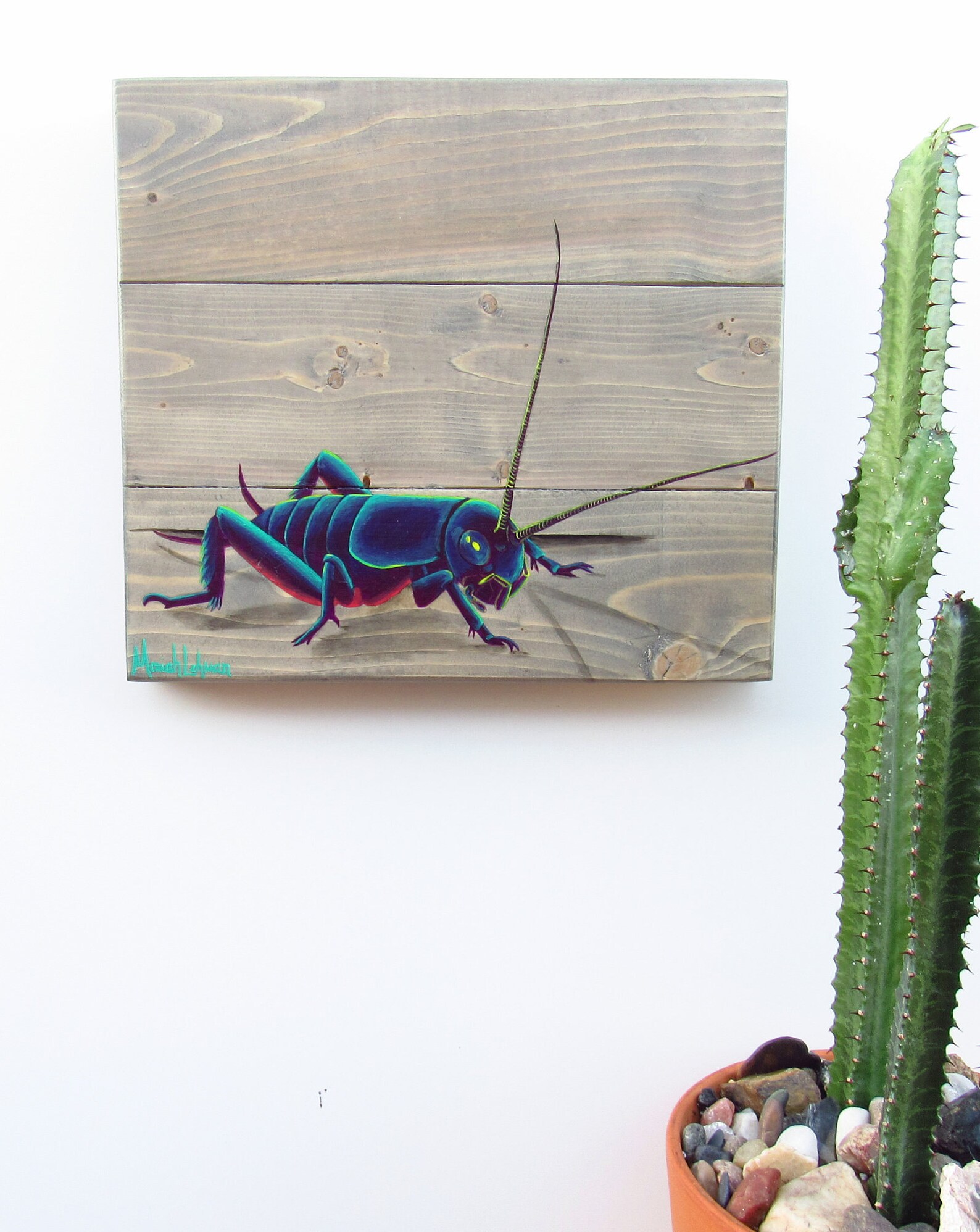 Original House Cricket Insect Acrylic Painting on Gray Wood - Etsy