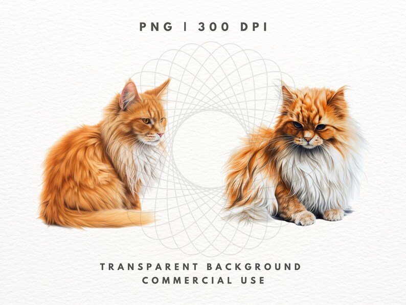 Ginger Cat Clipart PNG Commercial Use Clip Art PNG Clipart - Etsy