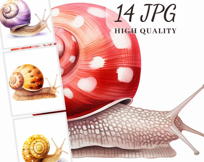 10 Snails Clipart Bundle, PNG & JPG, Printable Patchwork Snail ...